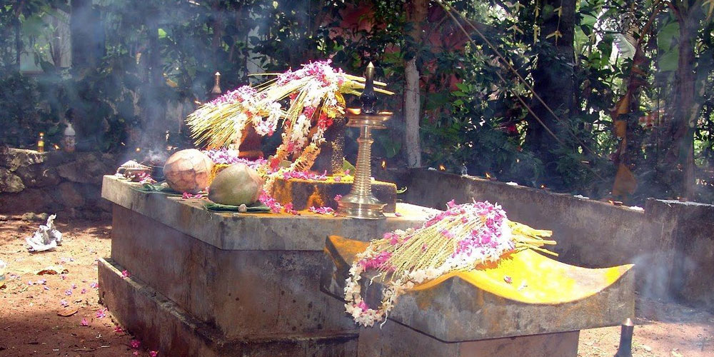 വിശ്വാസത്തോടെ പൂജിച്ചാൽ സർവ്വതും തരുന്ന നാഗദൈവങ്ങൾ, നാഗാരാധനയെ കുറിച്ച് ...