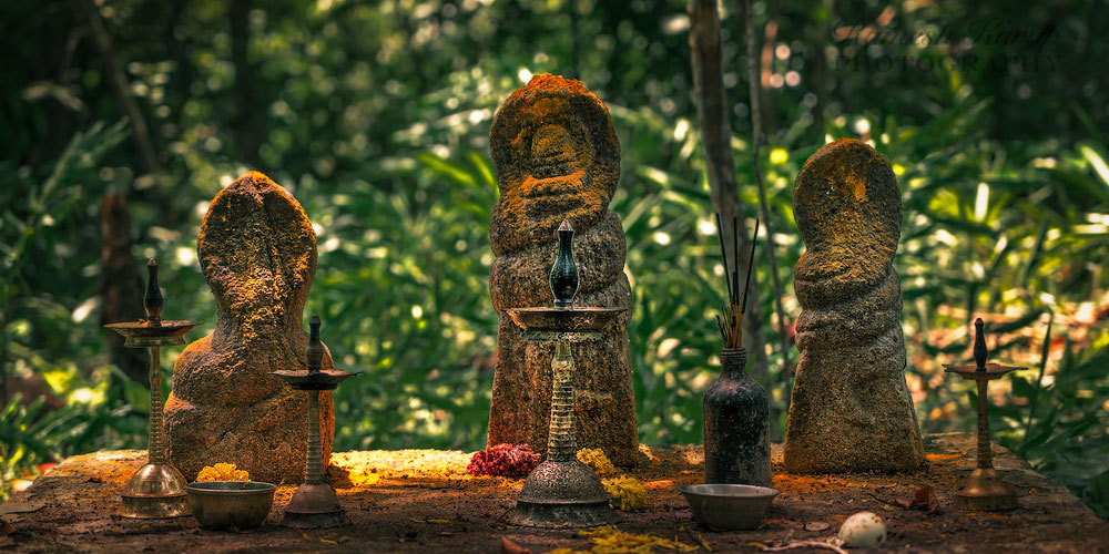വിശ്വാസത്തോടെ പൂജിച്ചാൽ സർവ്വതും തരുന്ന നാഗദൈവങ്ങൾ, നാഗാരാധനയെ കുറിച്ച് ...